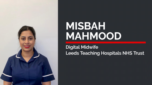 Mahmood, Misbah - Digital Health Rewired